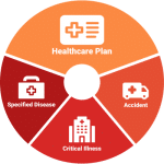 Custom Private Health Insurance Plan Bundle
